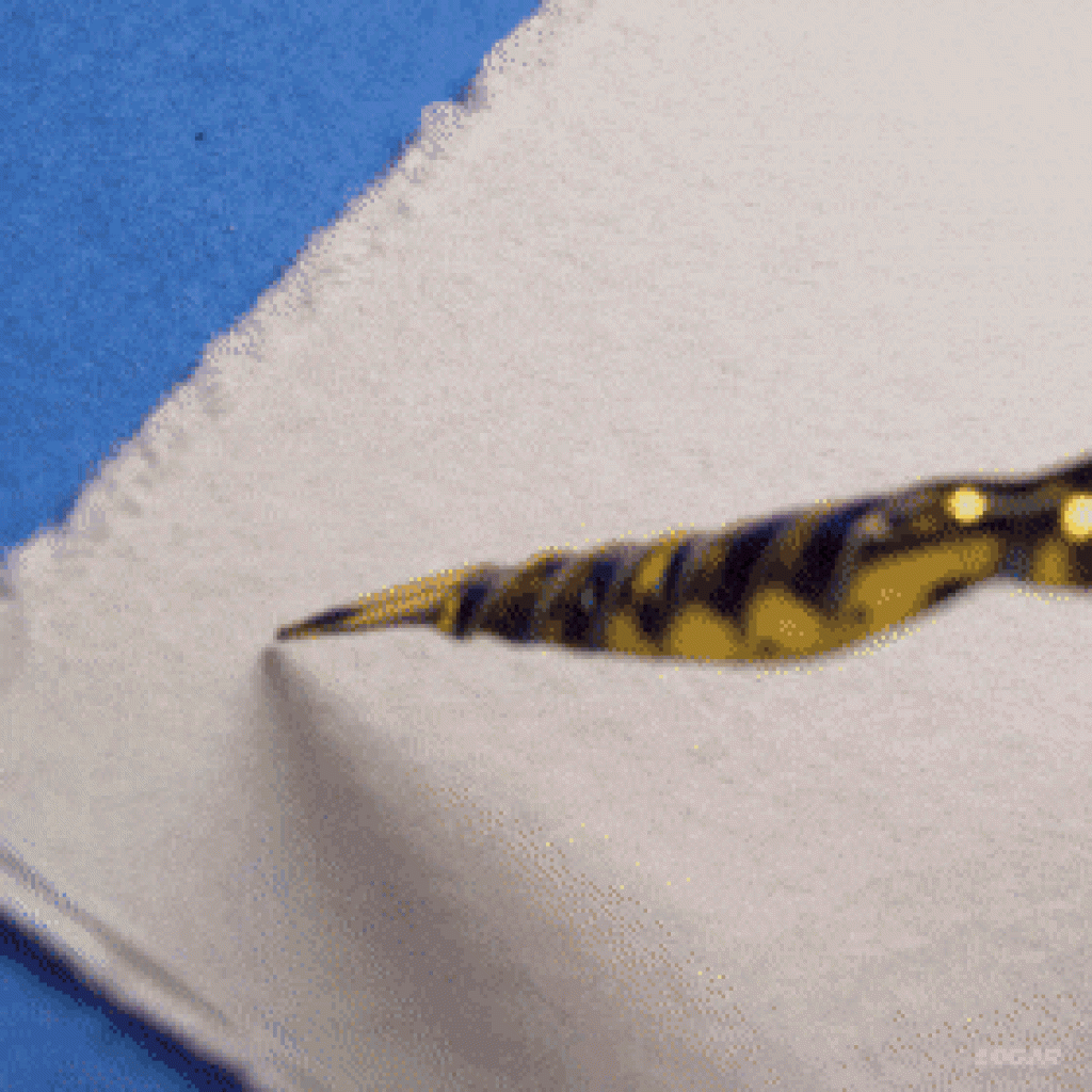 Magical Drying Ink - Take My Money