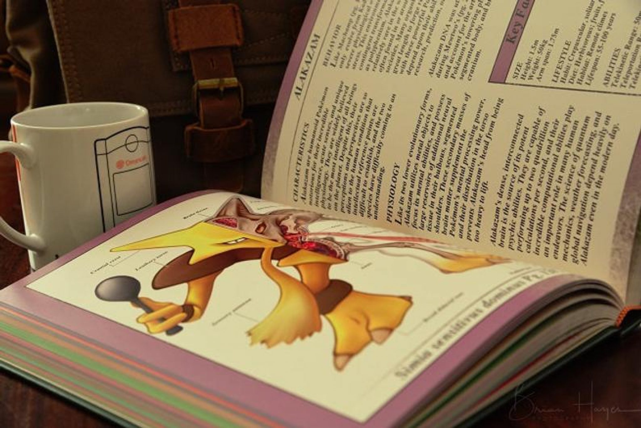 Pokénatomy - See the Inside of Any Pokémon - Take My Money